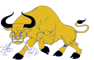 Toros – Mind Space Custom Design